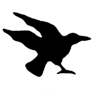 The Raven Sailboat… A Resurrection of BLYC History – Buckeye Lake Yacht ...